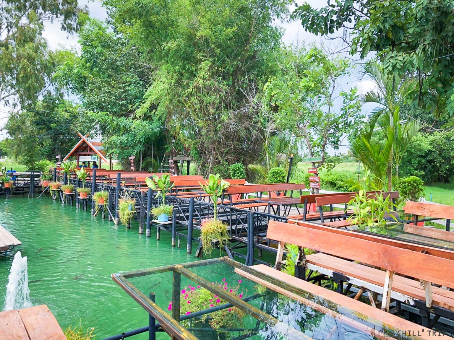 เที่ยวฟาร์โรฟาร์มร้อยเอ็ด (Faro Farm 101) ขี่ม้า ให้อาหารสัตว์ และสนุก ...