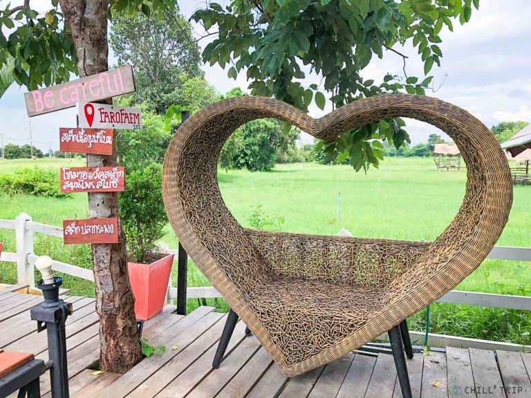 เที่ยวฟาร์โรฟาร์มร้อยเอ็ด (Faro Farm 101) ขี่ม้า ให้อาหารสัตว์ และสนุก ...