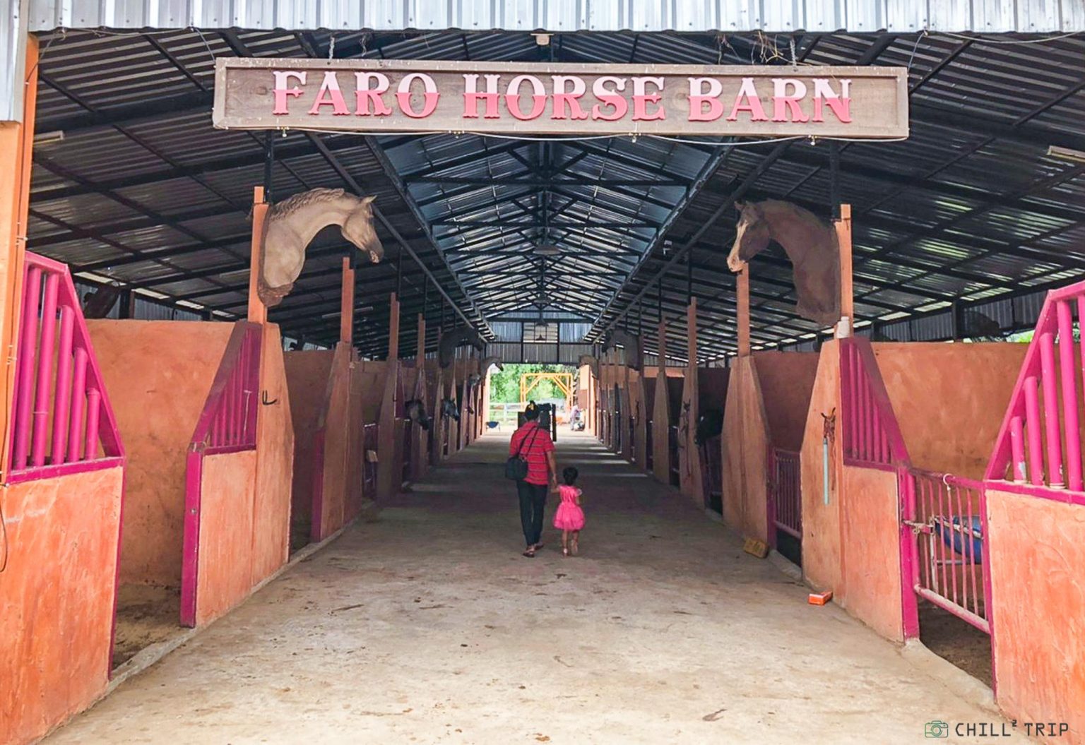 เที่ยวฟาร์โรฟาร์มร้อยเอ็ด (Faro Farm 101) ขี่ม้า ให้อาหารสัตว์ และสนุก ...