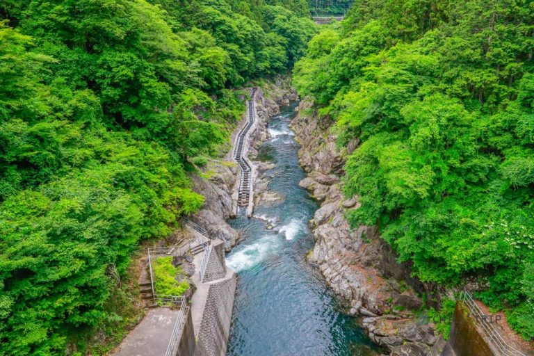 Okutama 1 day trip ท่องเที่ยวเชิงอนุรักษ์ ชมเขื่อนชิโรมารุ (Shiromaru ...