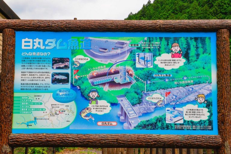 Okutama 1 day trip ท่องเที่ยวเชิงอนุรักษ์ ชมเขื่อนชิโรมารุ (Shiromaru ...