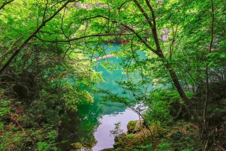 Okutama 1 day trip ท่องเที่ยวเชิงอนุรักษ์ ชมเขื่อนชิโรมารุ (Shiromaru ...