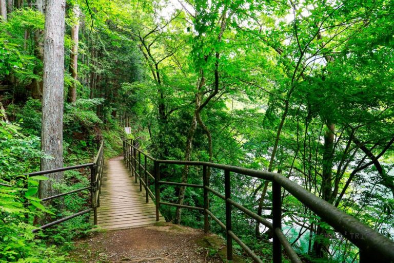 Okutama 1 day trip ท่องเที่ยวเชิงอนุรักษ์ ชมเขื่อนชิโรมารุ (Shiromaru ...