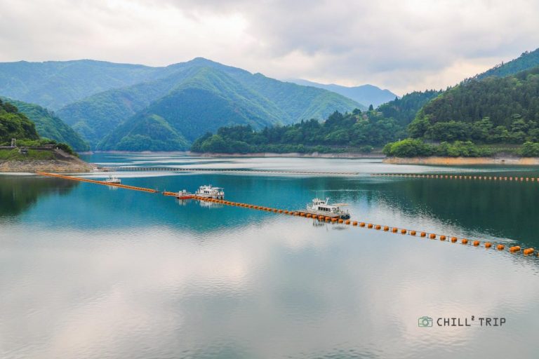 Okutama 1 day trip ท่องเที่ยวเชิงอนุรักษ์ ชมเขื่อนชิโรมารุ (Shiromaru ...