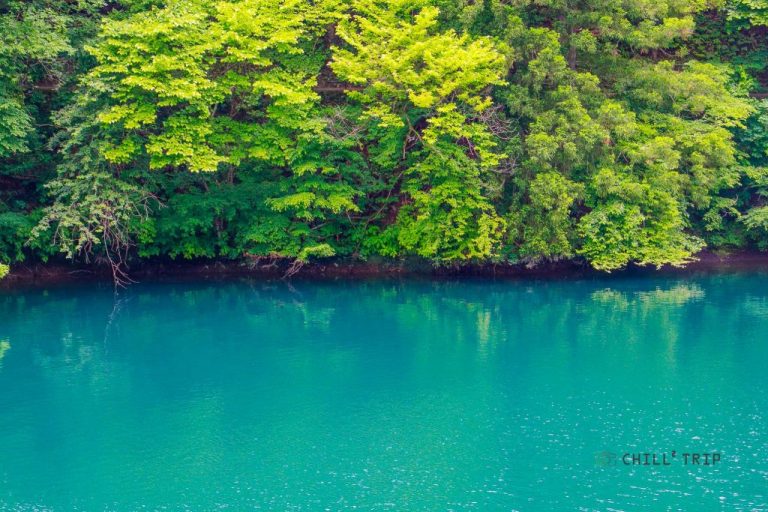 Okutama 1 day trip ท่องเที่ยวเชิงอนุรักษ์ ชมเขื่อนชิโรมารุ (Shiromaru ...